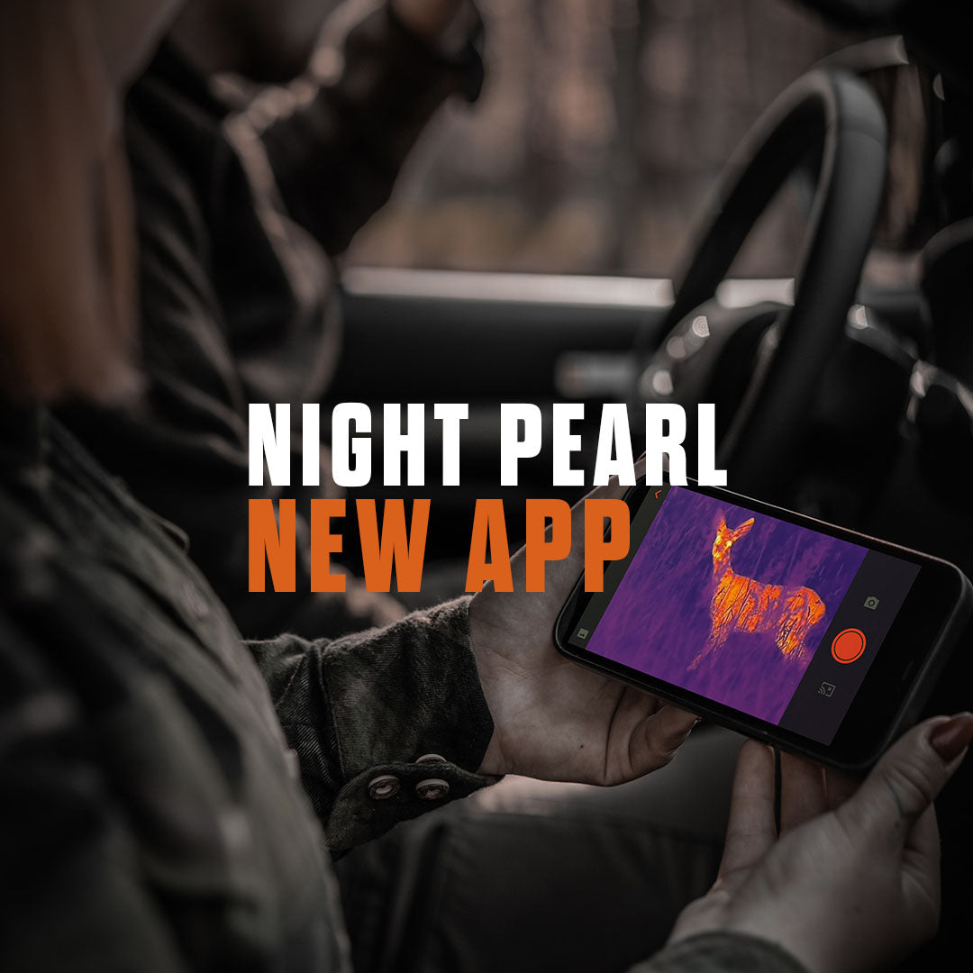 NEW App Night Pearl – Night Pearl UK