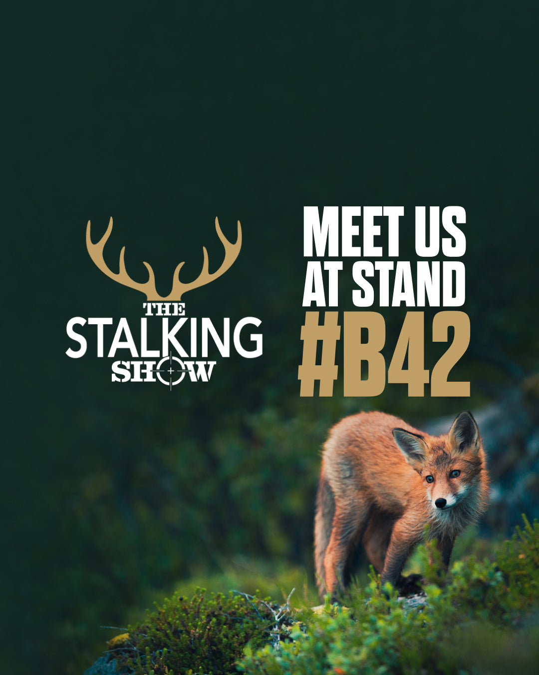 MEET US AT THE STALKING SHOW - STAND B42! – Night Pearl UK